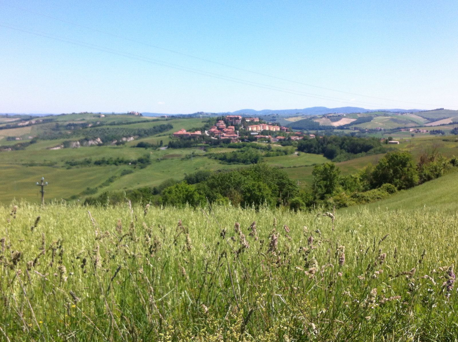 photo gallery :: B&b-l'incanto-Torrenieri-Montalcino